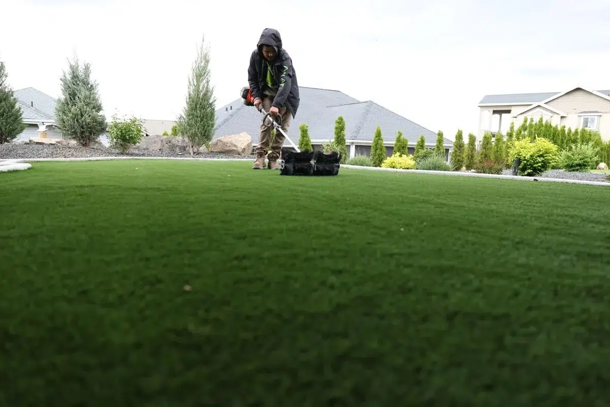 Dethatching & Power Raking: Revitalize Your Lawn for Growth